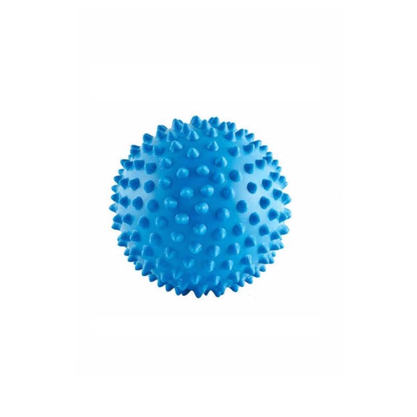 Petsleisure | Aussie Dog Mitch Ball For Medium To Large Dogs (Blue)